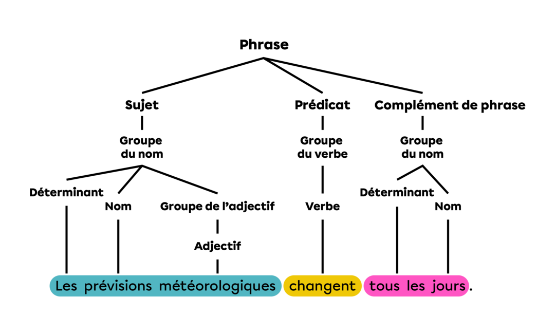 Tout ce qu’il faut savoir sur la nouvelle grammaire pour mieux aider ...